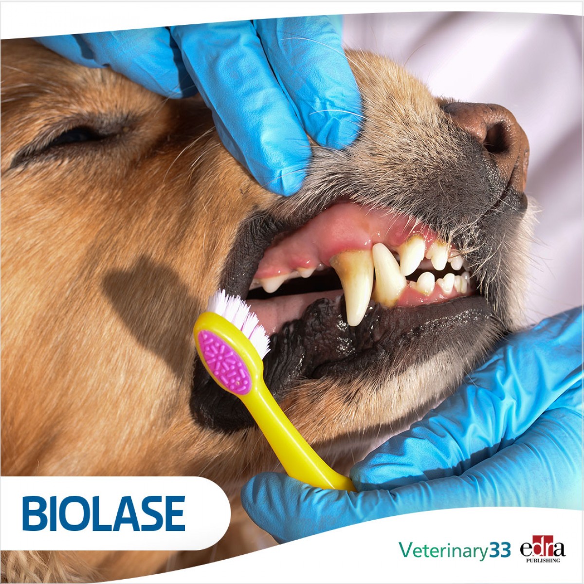 BIOLASE integrates laser technology with Pet Dental Services ...
